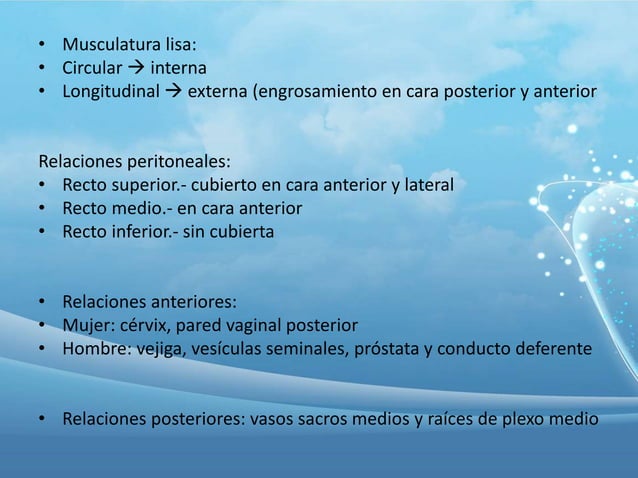 Anatomía del Colon y el Ano | PPTX | Surgery | Medical Health