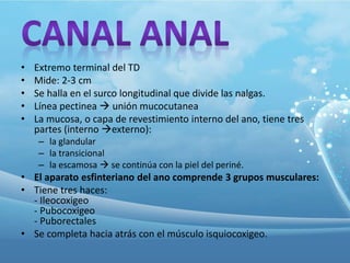 Anatomía del Colon y el Ano | PPTX