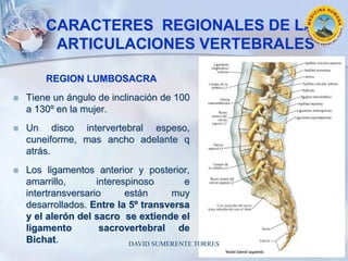 Osteoartrología de la Columna Lumbar | PPTX