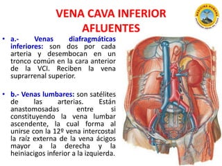 Anatomía De Los Grandes Vasos Del Retroperitoneo Pptx