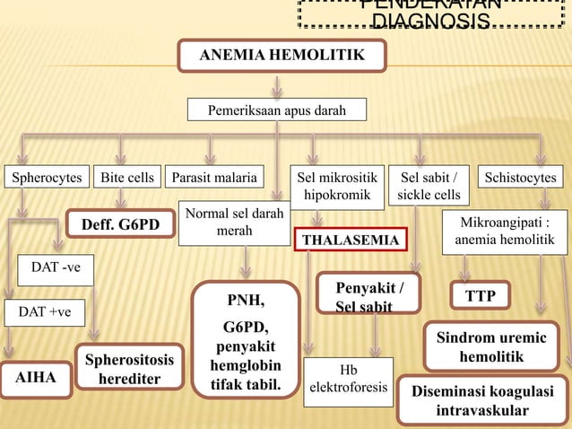 A. pendekatan diagnosis anemia | PPT