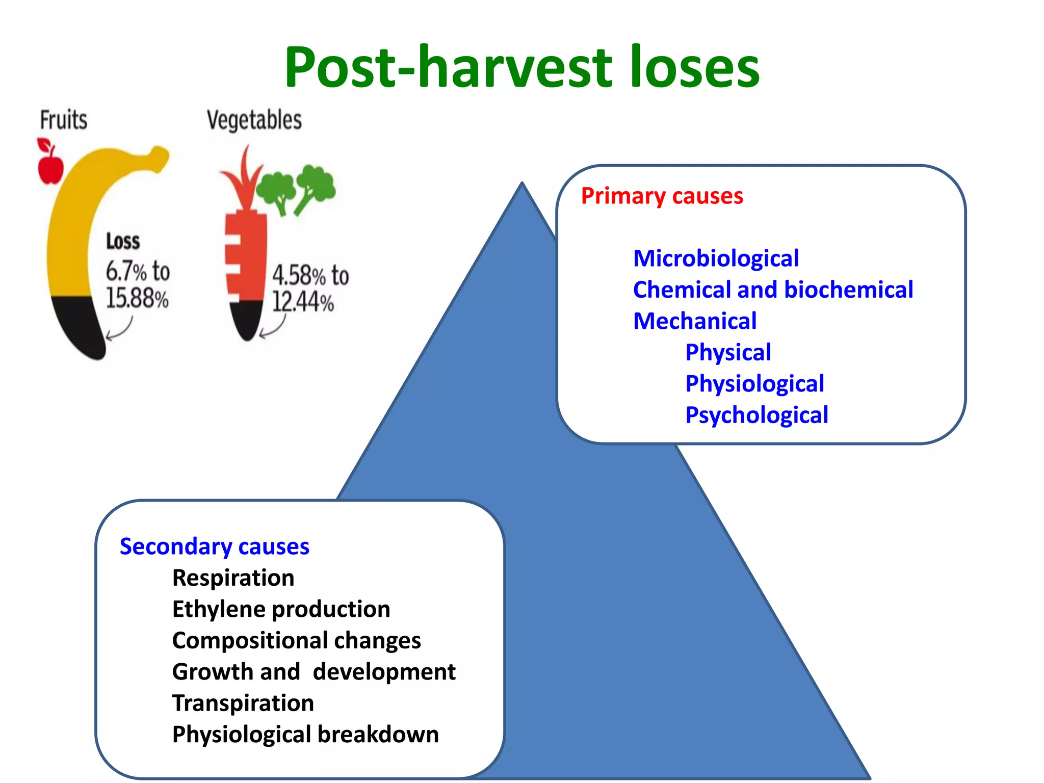 Post-harvest physiological approaches for preservation of Fruits and ...