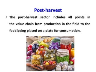 Post-harvest physiological approaches for preservation of Fruits and ...