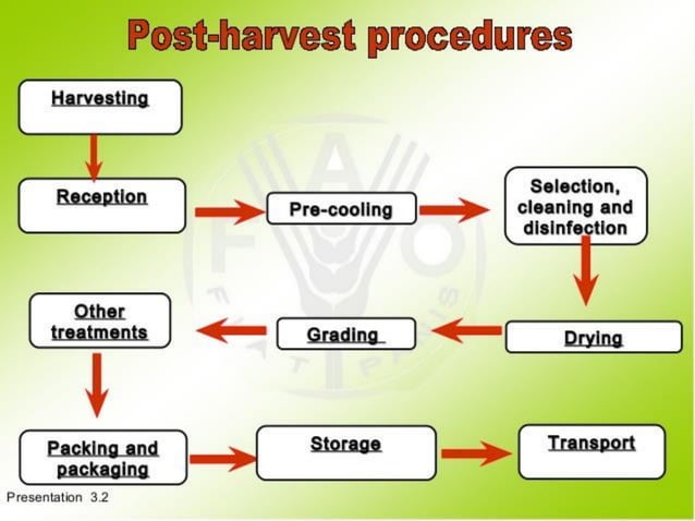 Post-harvest physiological approaches for preservation of Fruits and ...