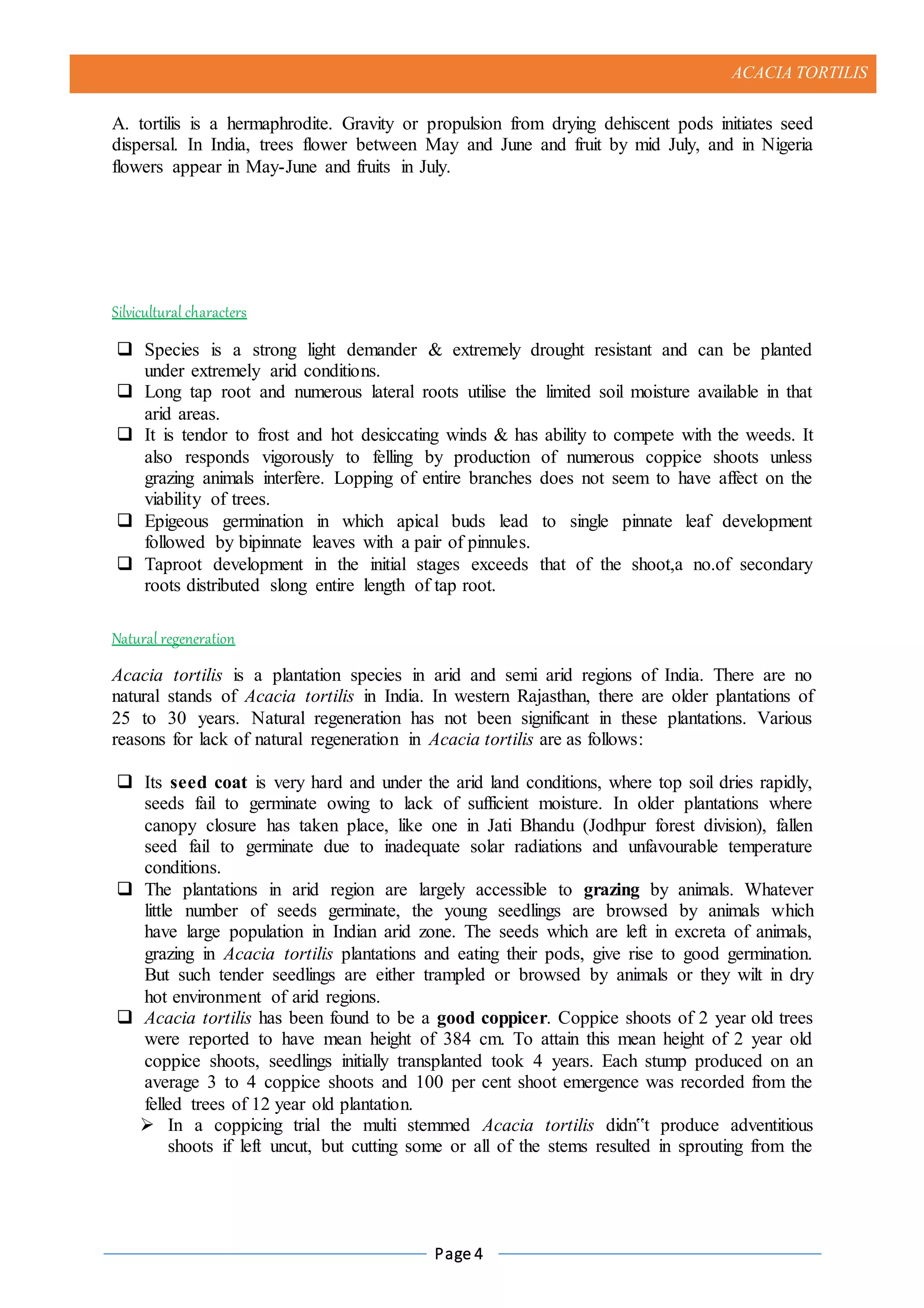 Acacia tortilis. Introdution, Distribution, phenology, Silvicultural ...