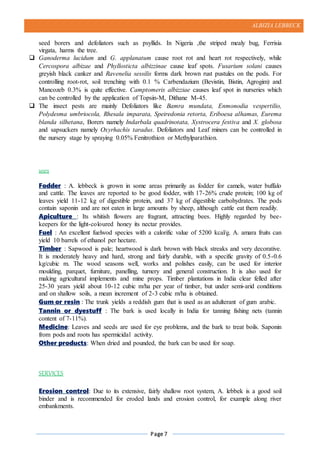 Albizia.lebbeck. Introdution, Distribution, phenology, Silvicultural ...