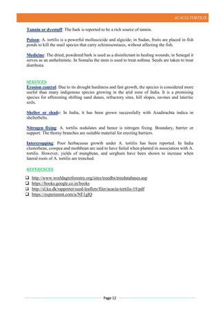 Umbrella thorn (Acacia tortilis) | PDF
