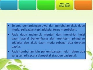 PPT pertumbuhan daunTUGAS BIOLOGI KULIAH RINI | PPTX