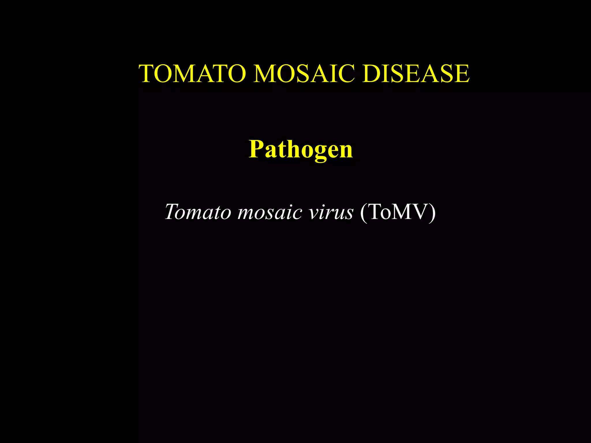 Tomato mosaic disease | PPTX