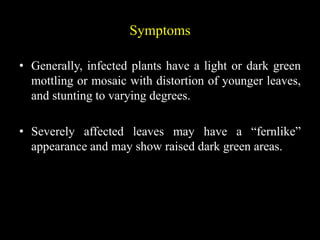 Tomato mosaic disease | PPTX | Infectious Diseases | Diseases and ...