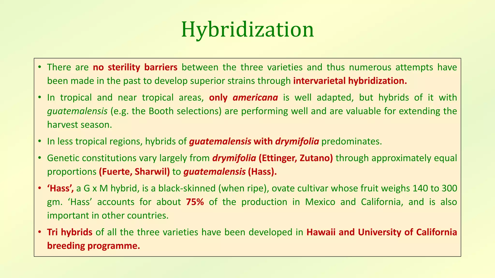 Avocado Breeding | PPTX