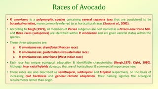 Avocado Breeding | PPTX