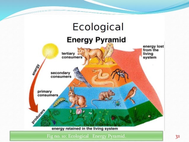 Multidisciplinary Nature Of Environmental studies