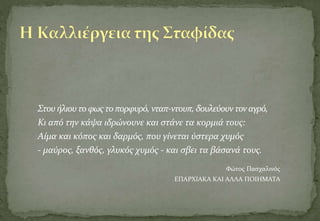 Η Καλλιέργεια της Σταφίδας | PPT