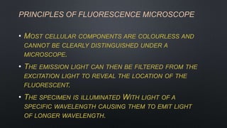 Fluroscence microscope | PPT