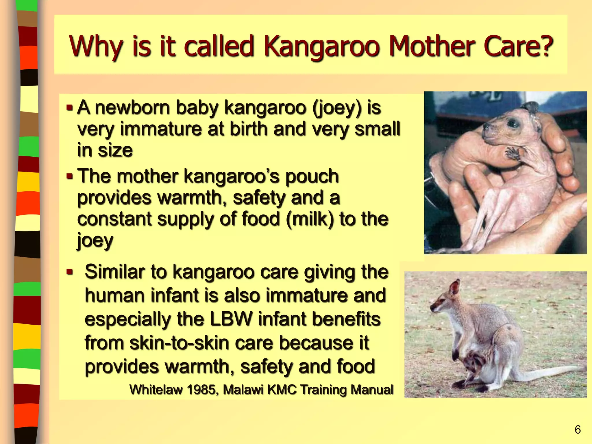Kangaroo Mother Care | PPTX
