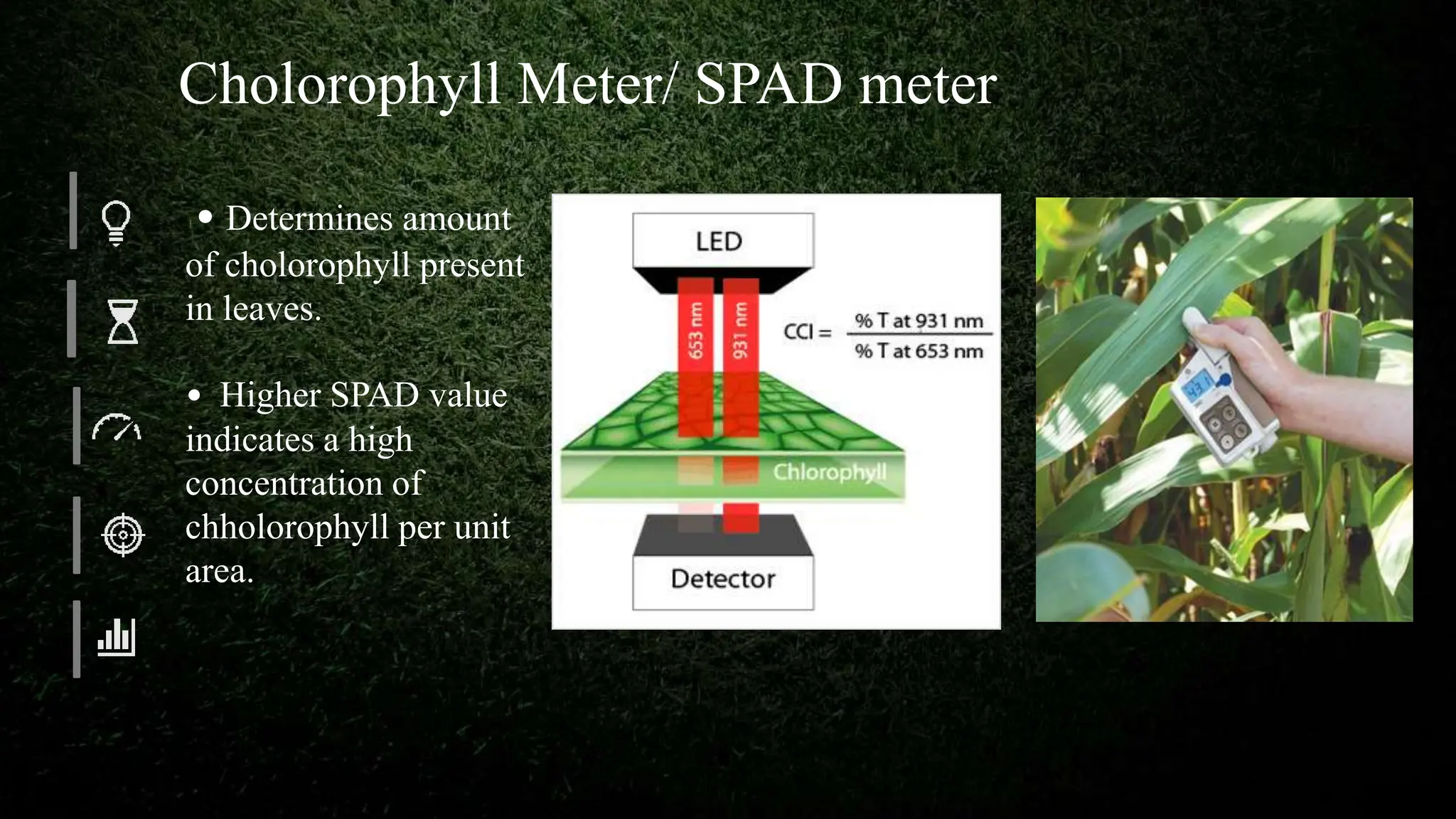 site specific. nutrient. management.pptx