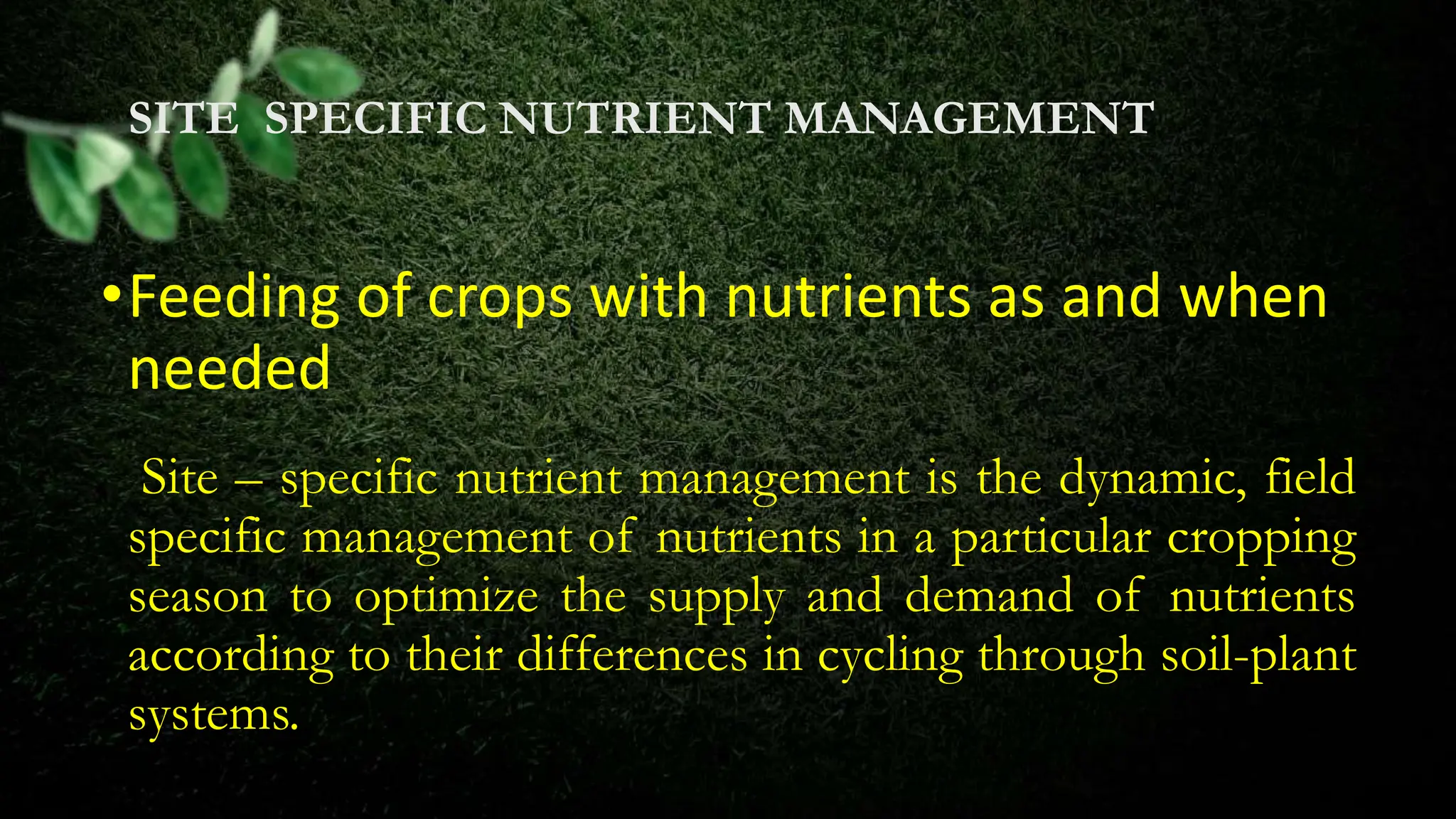 site specific. nutrient. management.pptx