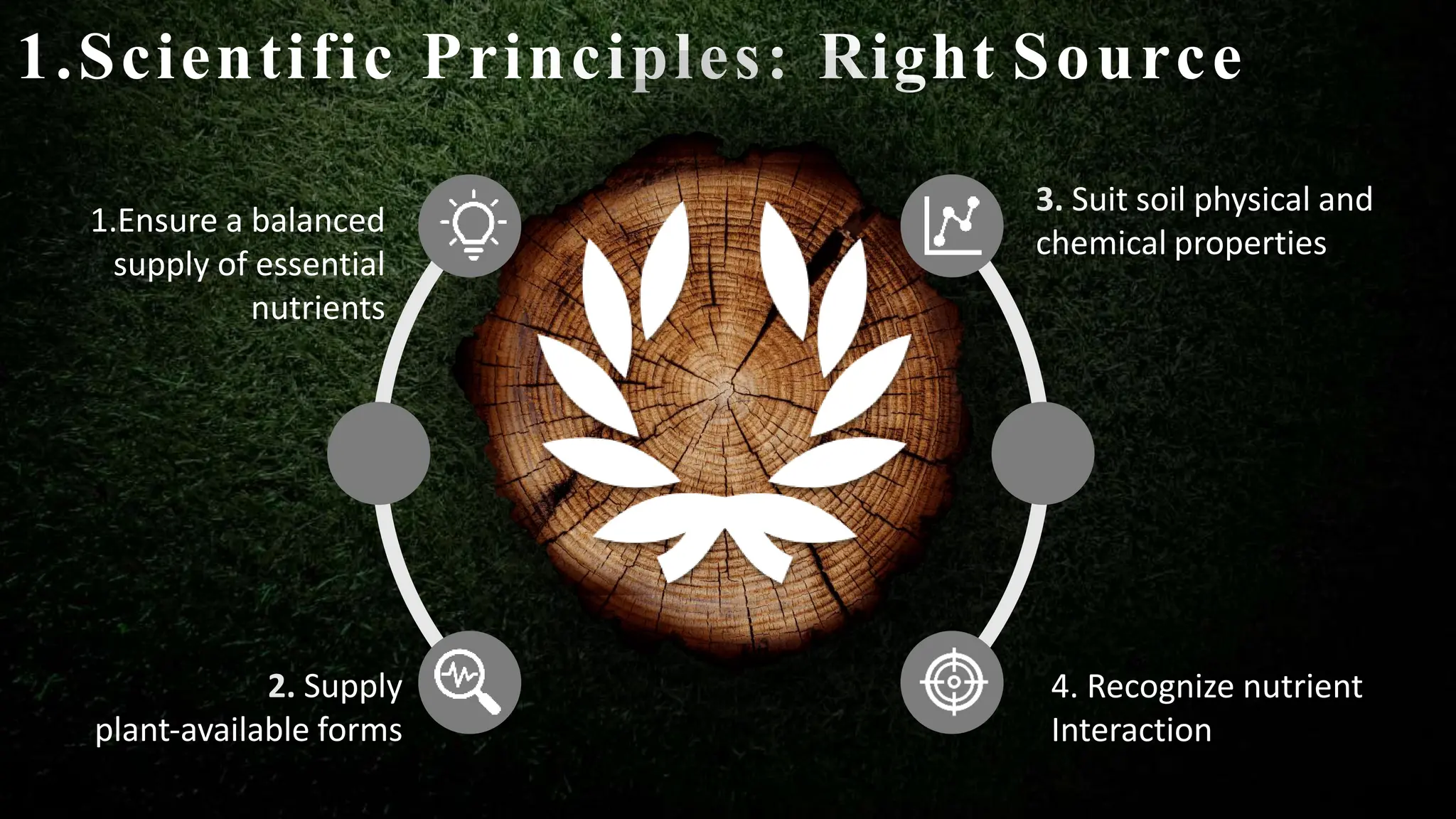 site specific. nutrient. management.pptx