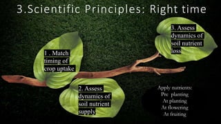 site specific. nutrient. management.pptx