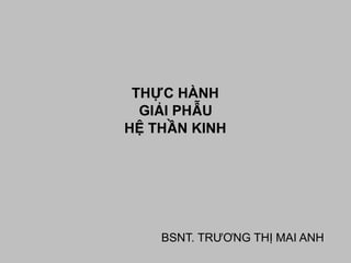 Giải phẫu Hệ Thần Kinh - UMP - VNU | PDF