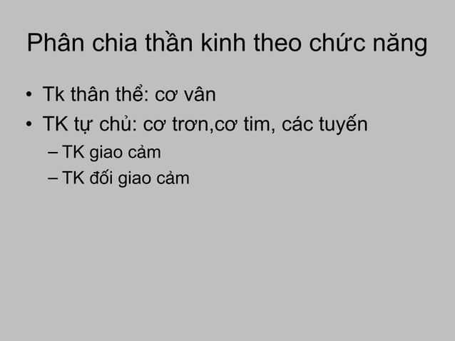 Giải phẫu Hệ Thần Kinh - UMP - VNU | PDF