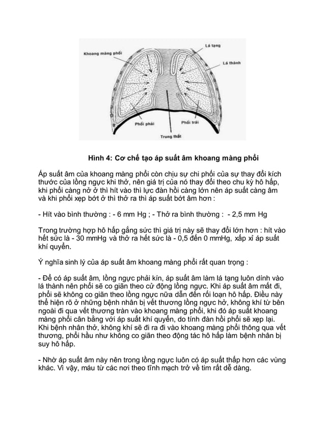 Sinh lí học hô hấp | DOCX