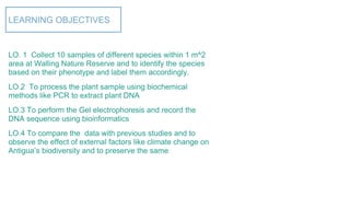 A. AUA DNA Barcoding Project - AUA Research Group - Spring 2022.pptx