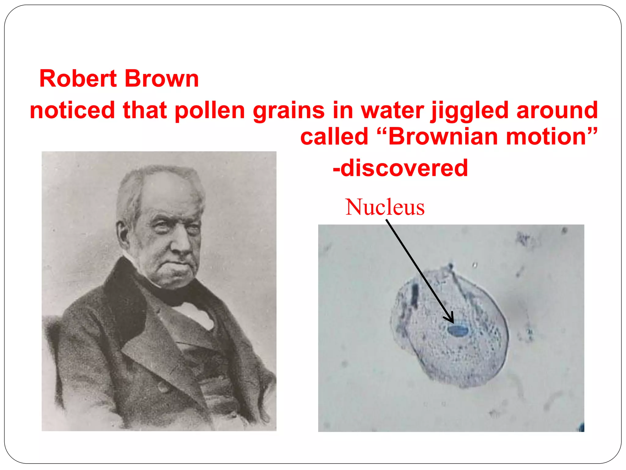 A.1 Postulates of the Cell Theory.ppt