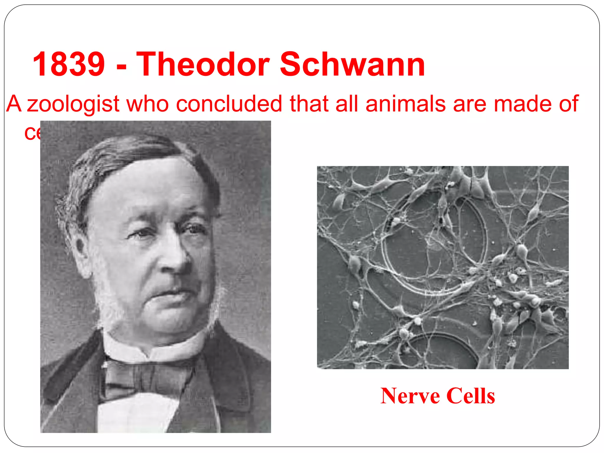 A.1 Postulates of the Cell Theory.ppt