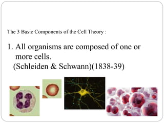 A.1 Postulates of the Cell Theory.ppt