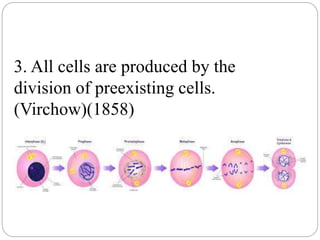 A.1 Postulates of the Cell Theory.ppt