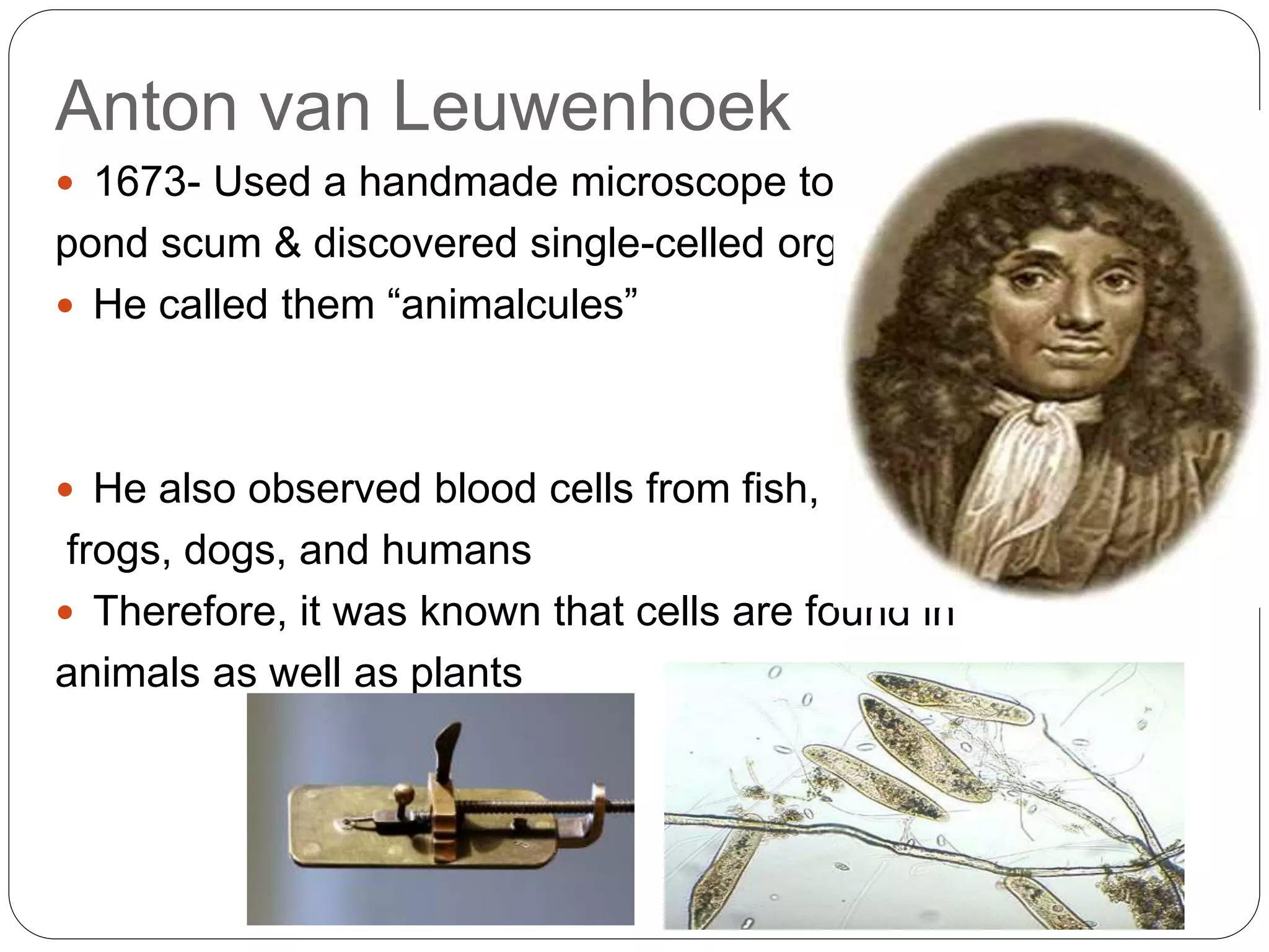 A.1 Postulates of the Cell Theory.ppt