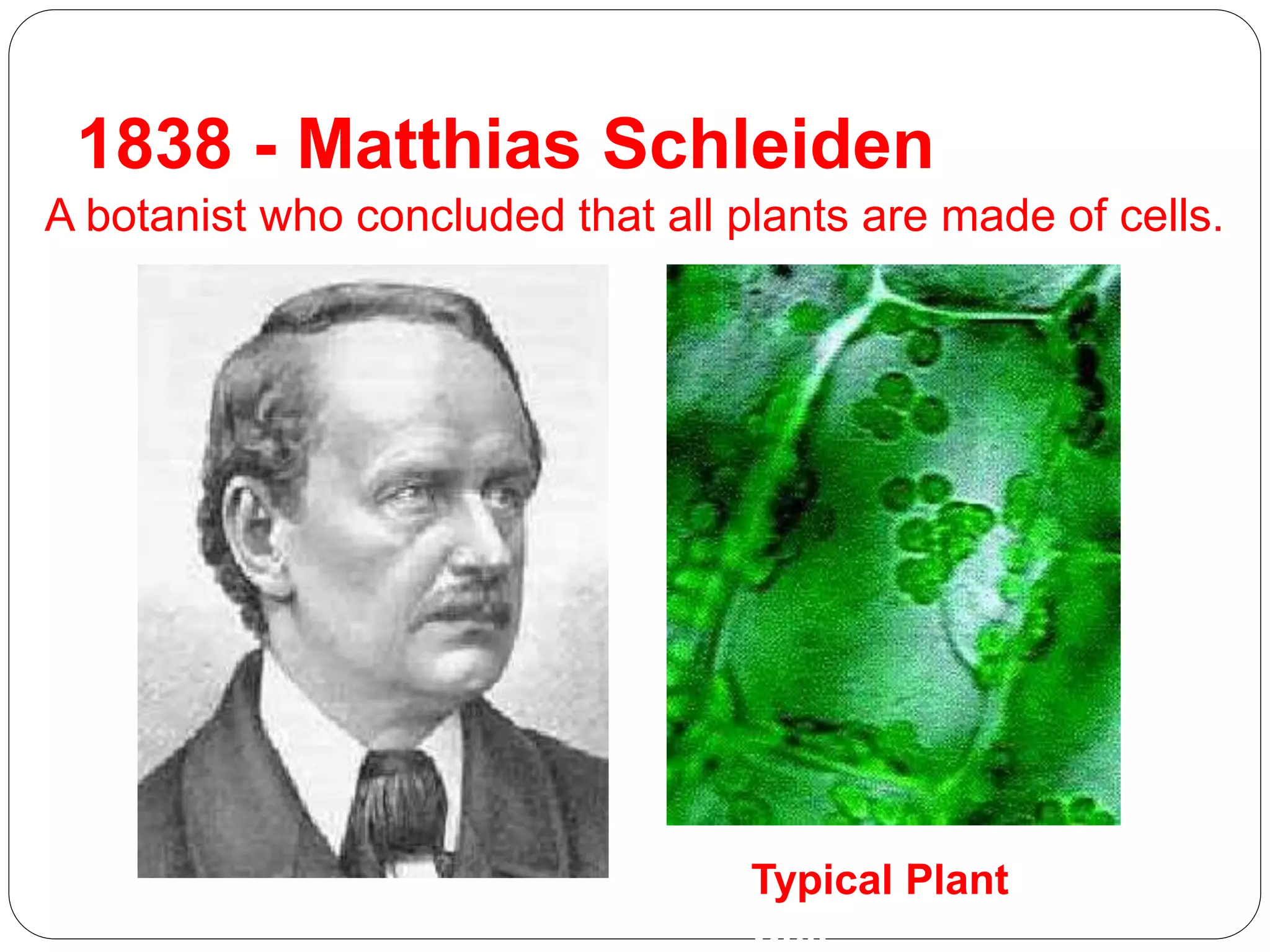 A.1 Postulates of the Cell Theory.ppt