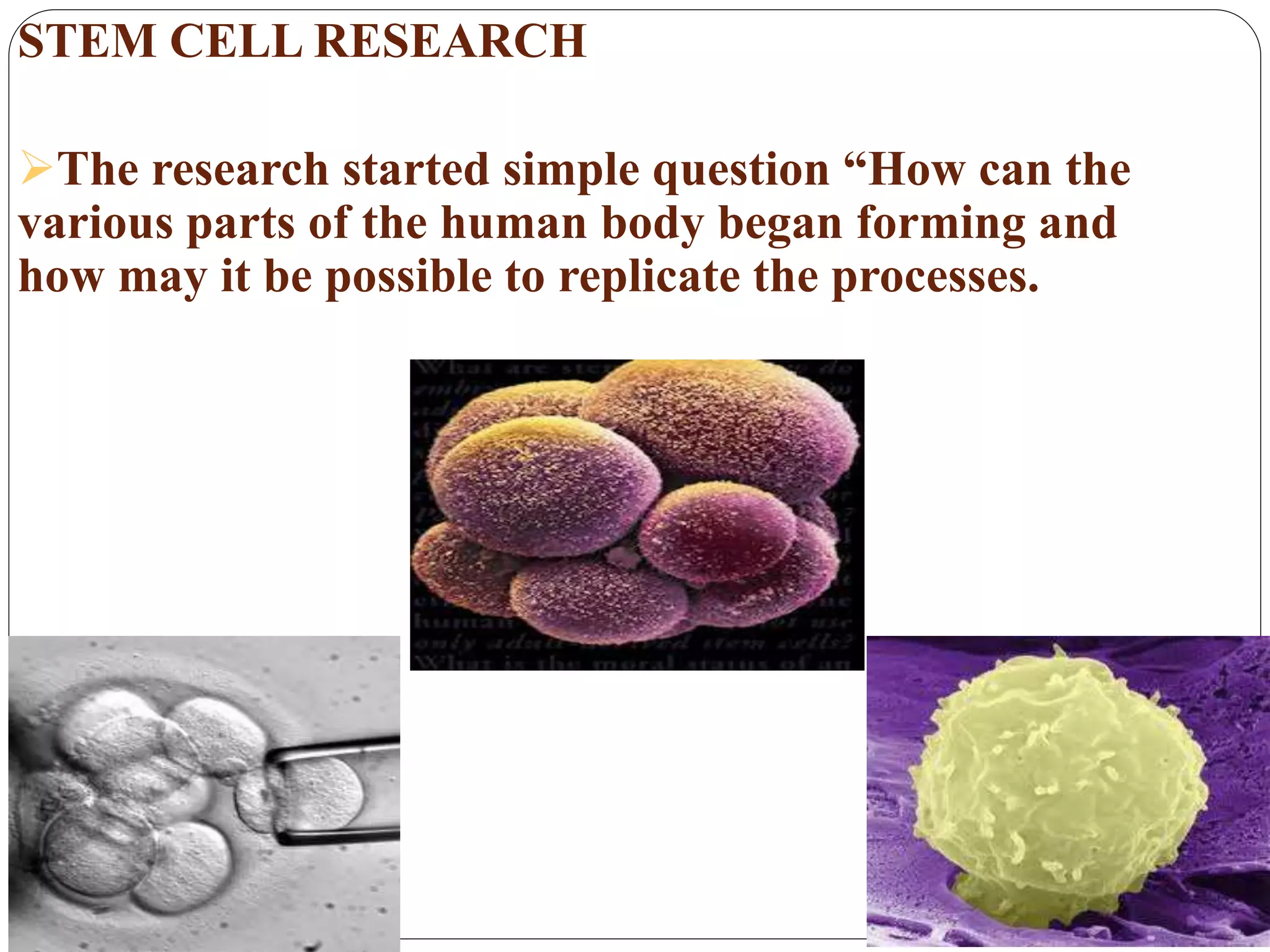 A.1 Postulates of the Cell Theory.ppt
