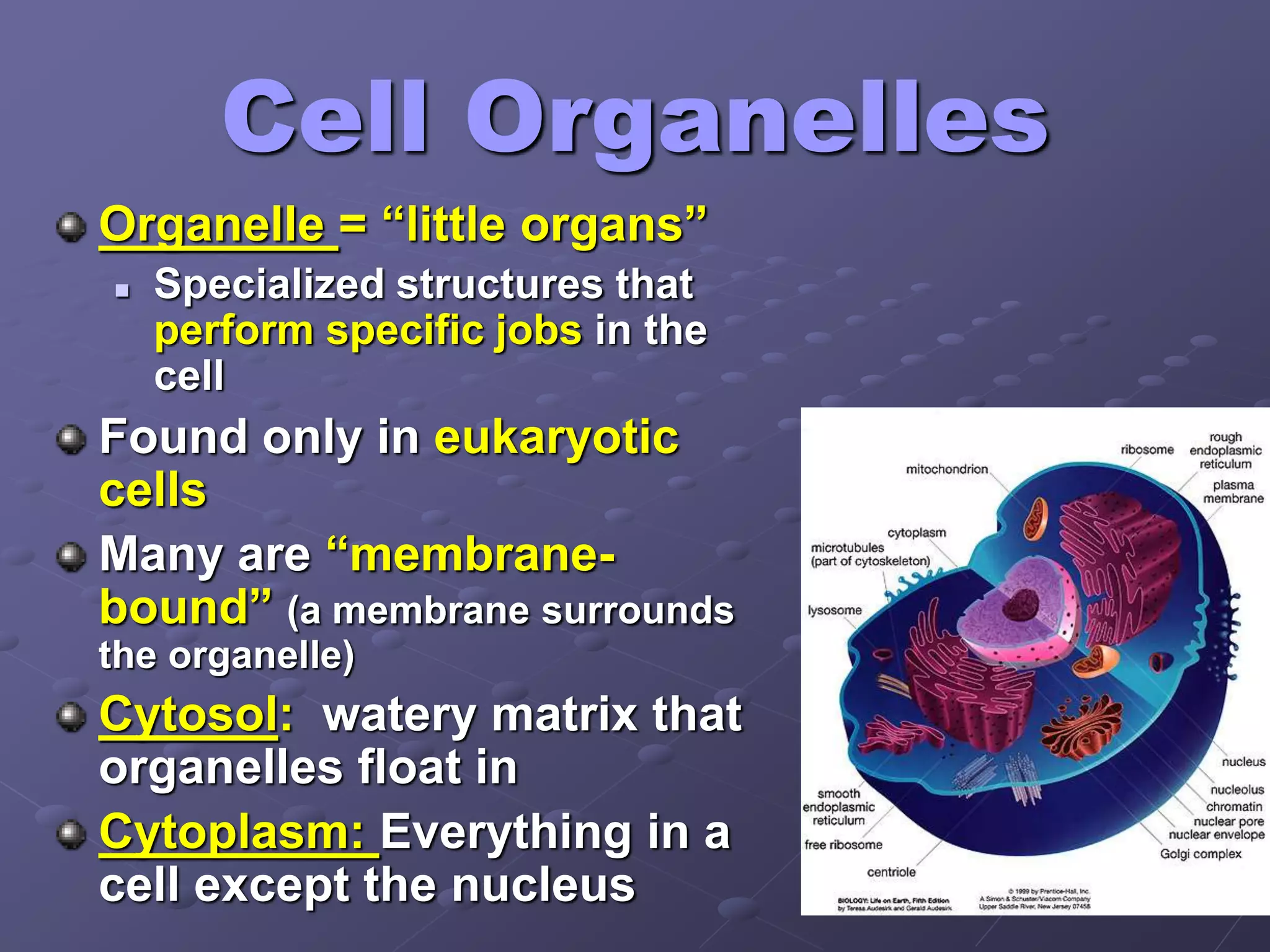 A.1 Postulates of the Cell Theory.ppt