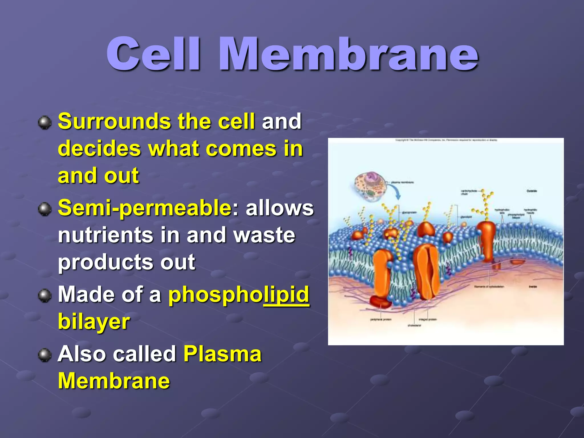 A.1 Postulates of the Cell Theory.ppt
