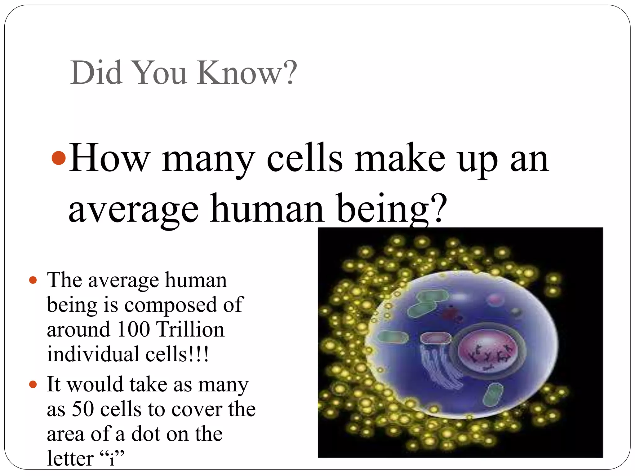 A.1 Postulates of the Cell Theory.ppt