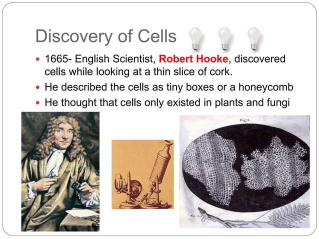 A.1 Postulates of the Cell Theory.ppt | Biological Sciences | Science