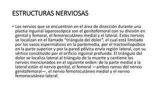 Anatomia de la Region inguinocrural.pptx