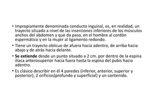 Anatomia de la Region inguinocrural.pptx