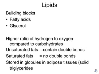 A.-Chemical-basis-of-life. The organization of life.pptx