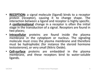 A. Intro to the ENDOCRINE system.pptx MEDICAL studies | PPTX