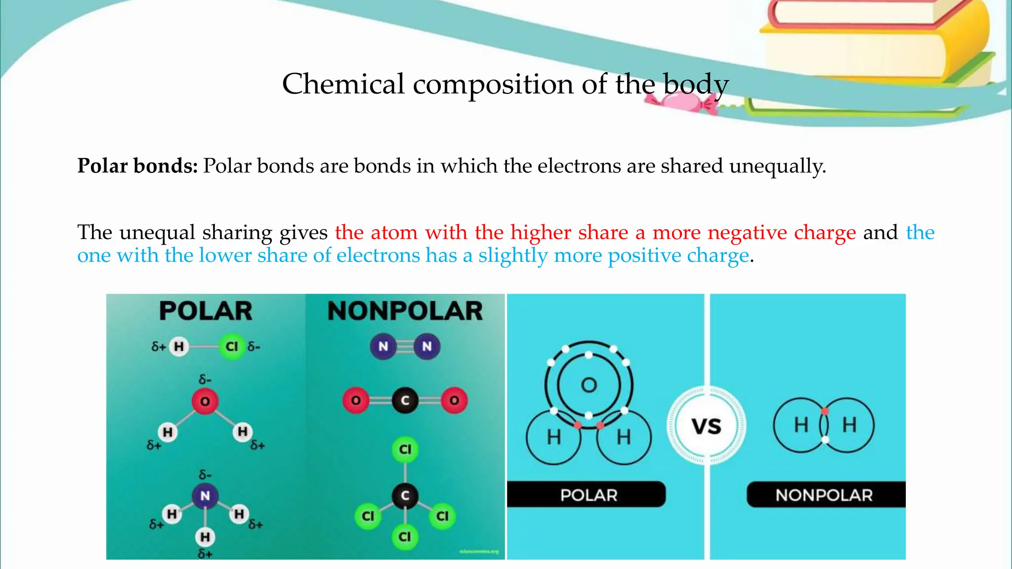 Chemical composition of the body.pptx