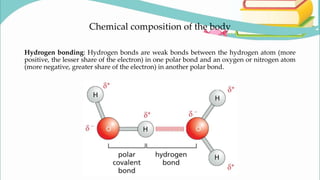 Chemical composition of the body.pptx