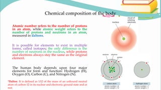 Chemical composition of the body.pptx