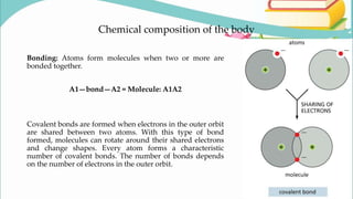 Chemical composition of the body.pptx