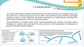 Chemical composition of the body.pptx
