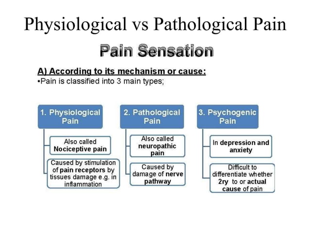 Pain Models-Screening Assay in vitro & in vivo | PPTX