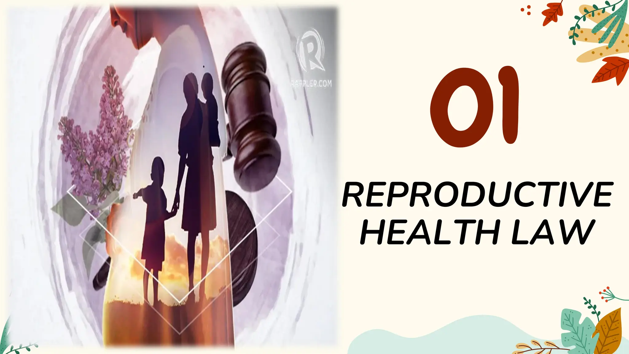 A.P-10-ARALIN-2-REPRODUCTIVE-HEALTH-LAW.pdf